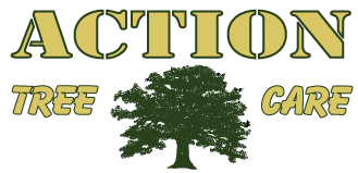 Action Tree Care | Contact | Affordable Tree Care Services